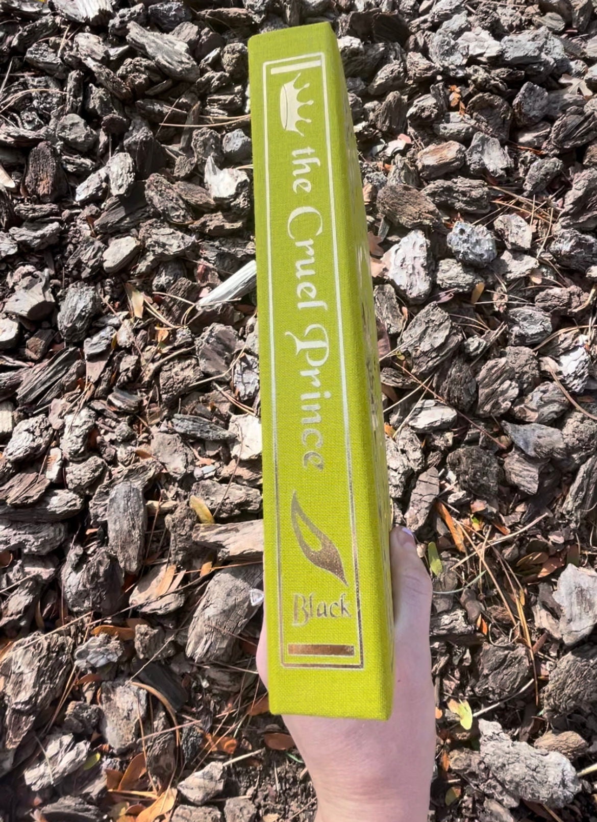 The Cruel Prince Rebound Book, Special Edition, Handmade, Holly Black ...