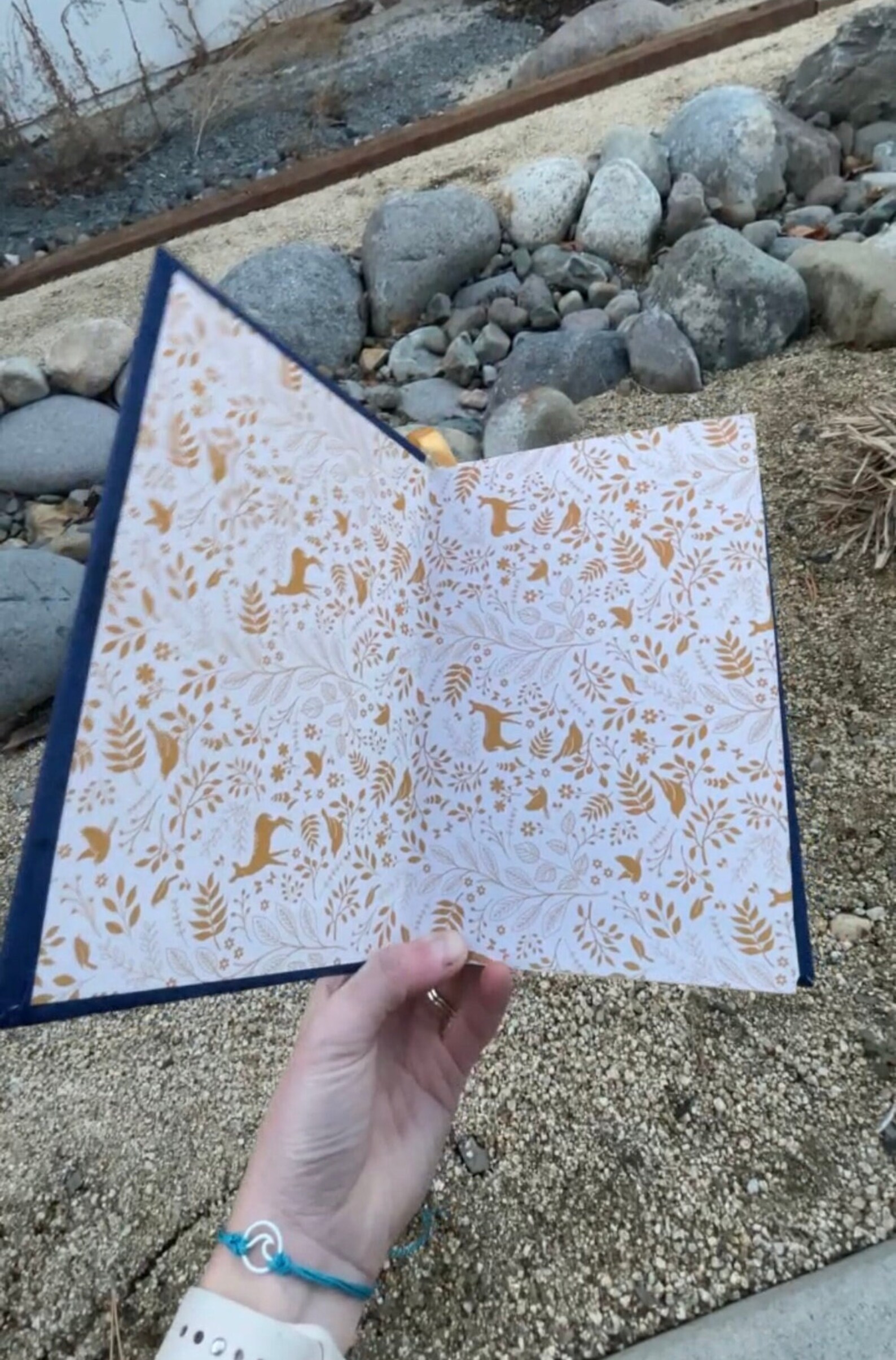 Lightlark Rebound Book, Special Edition, Handmade, Alex Aster, Custom ...