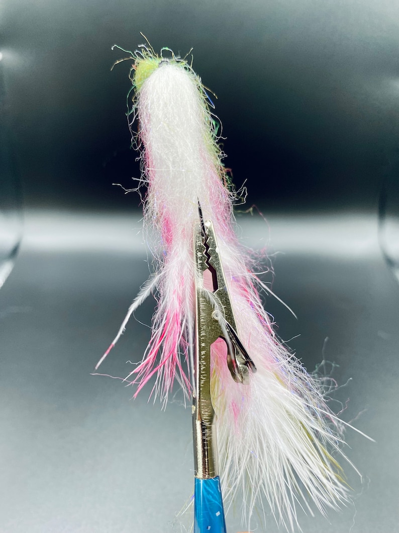 Rainbow Trout Streamer - Etsy