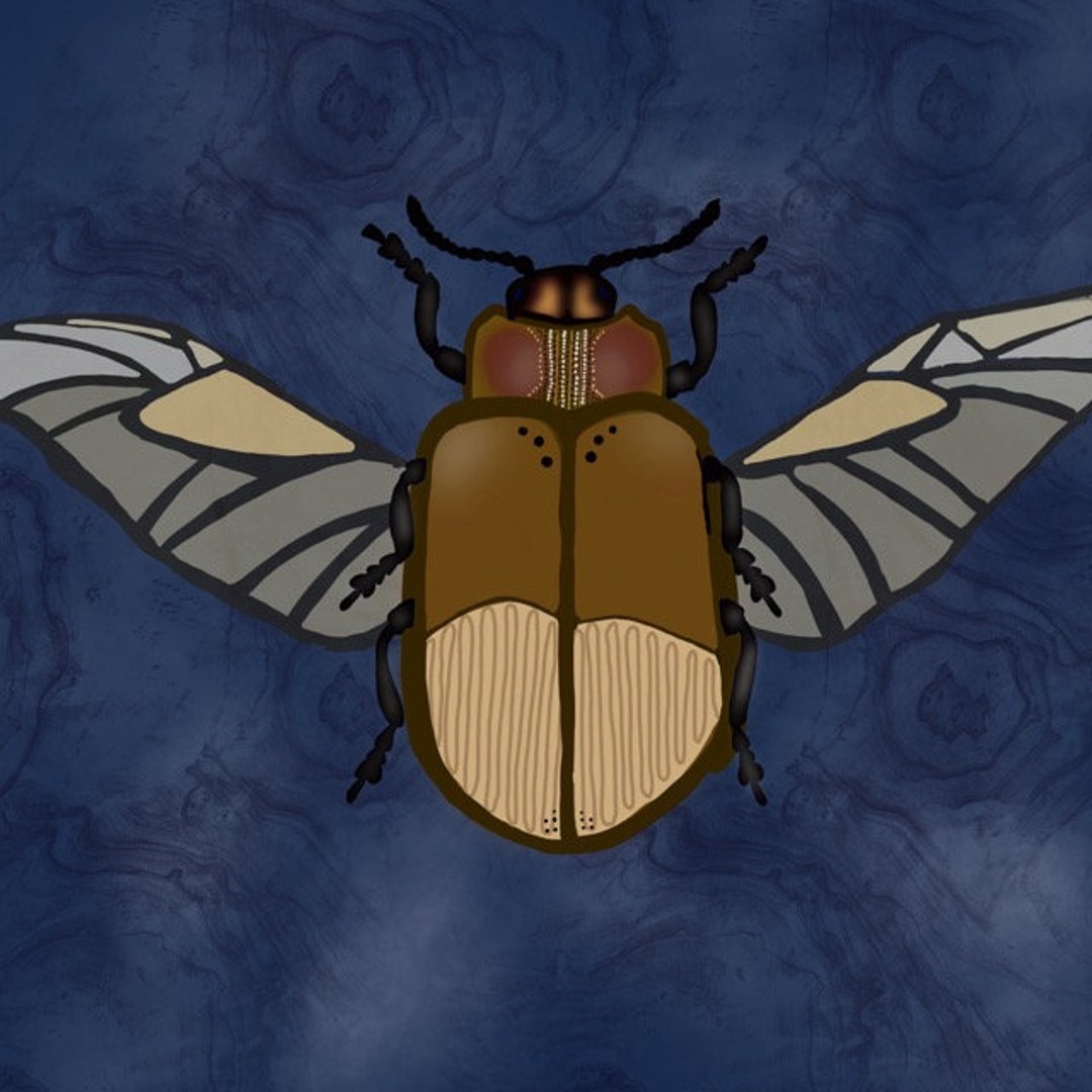 Scarab Digital Download GOLD WINGS Print Bugs Fine Art 8" X 8" Max - Etsy