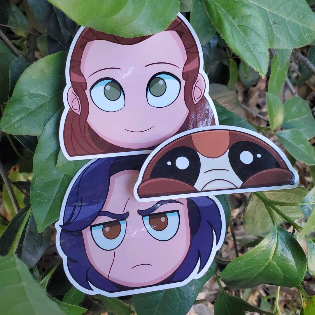 Reylo Peeker Sticker Bundle - Etsy