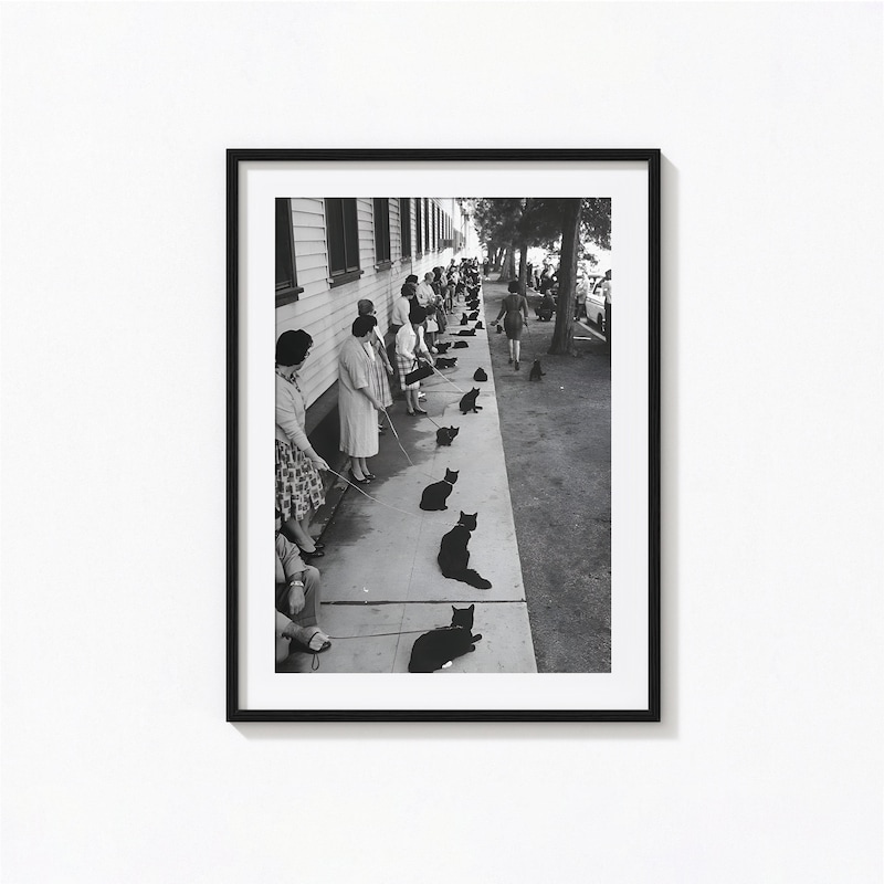 Large Cat Art Photo Prints - Etsy UK