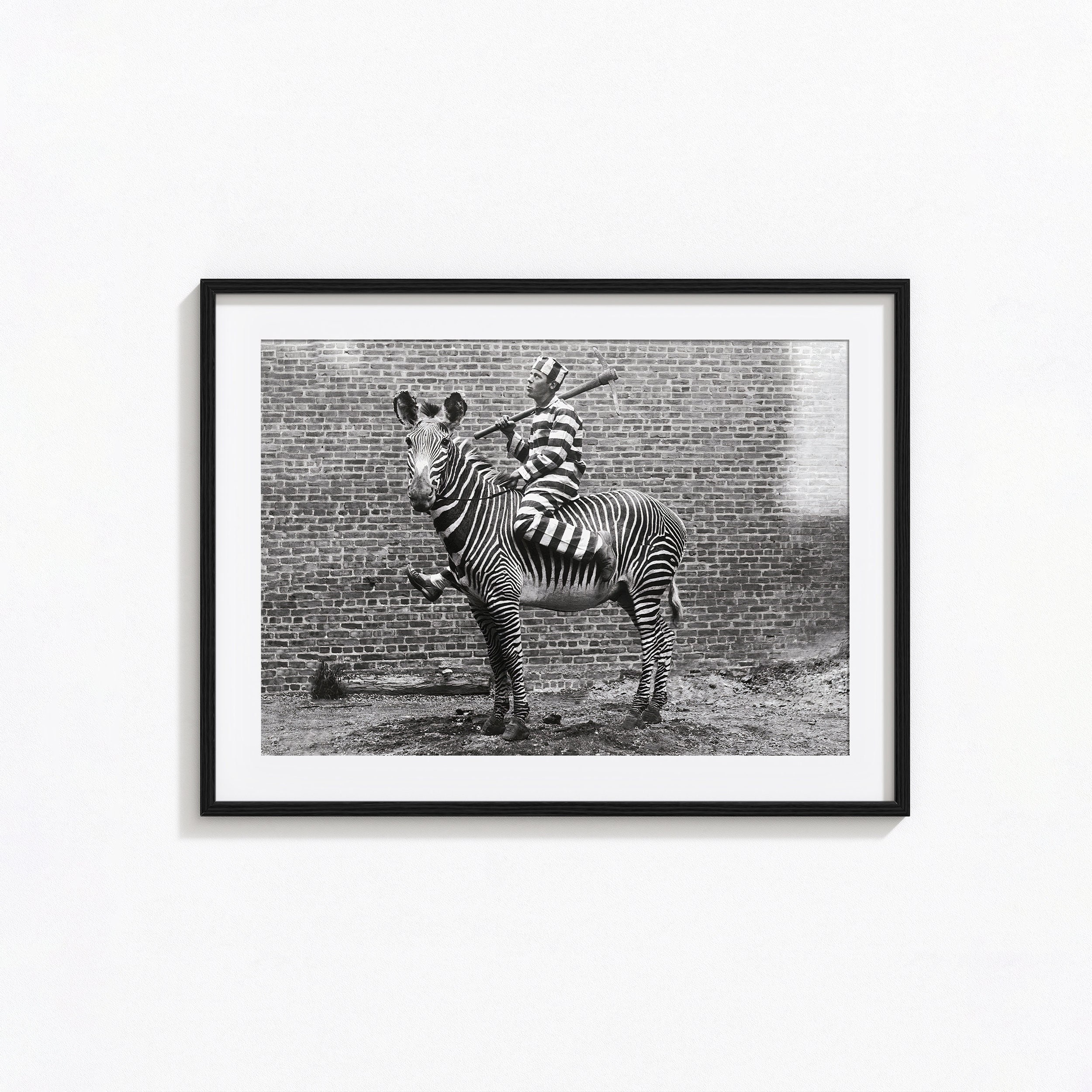 Zebra Prison Break Print, Funny Animal Black and White Wall Art ...