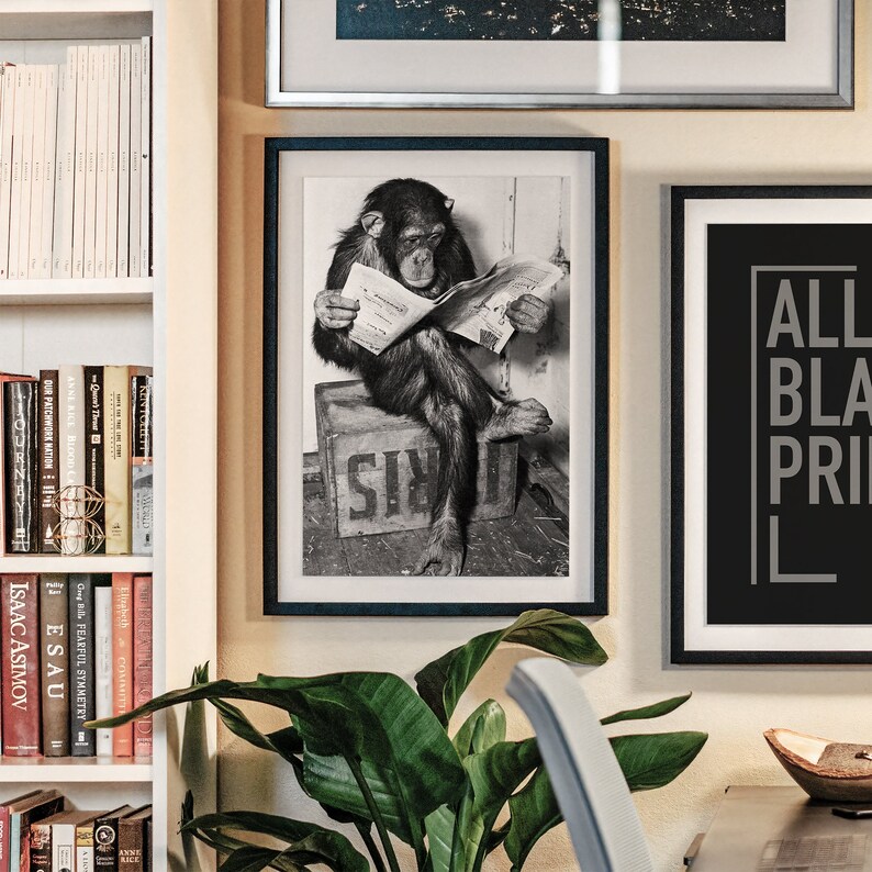 Chimpanzee Reading Newspaper Print, Funny Black and White Wall Art ...
