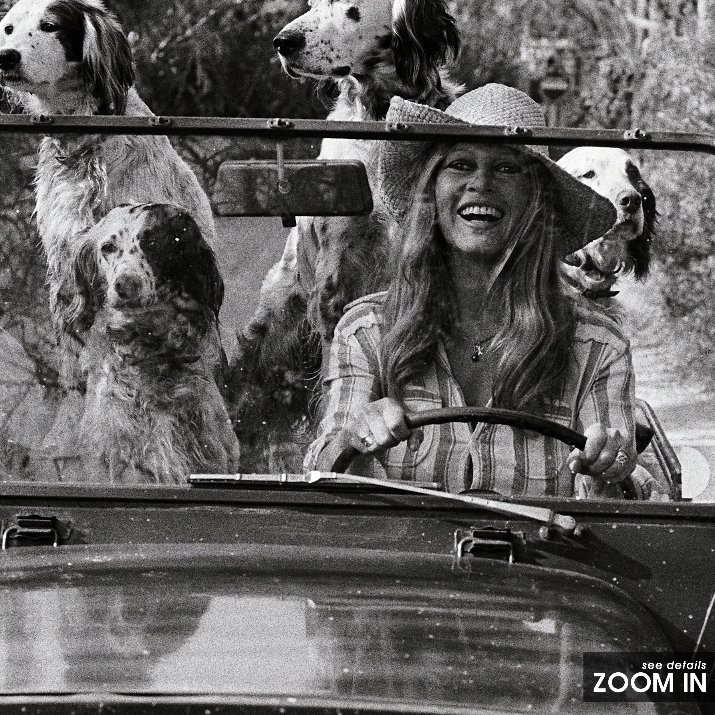 Brigitte Bardot With Dogs Poster, Funny Animal Black and White Wall Art ...
