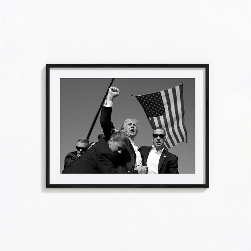 Donald Trump Poster - Etsy