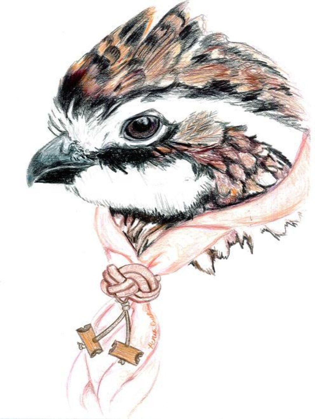 Woodbadge, Wood Badge, Bobwhite - Etsy