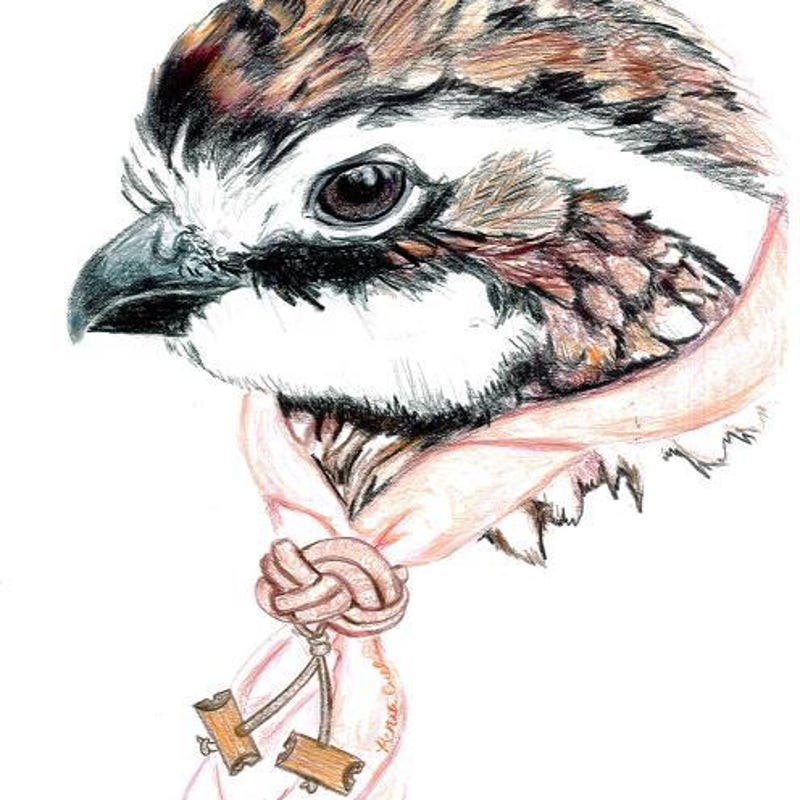 Wood Badge Critter - Etsy