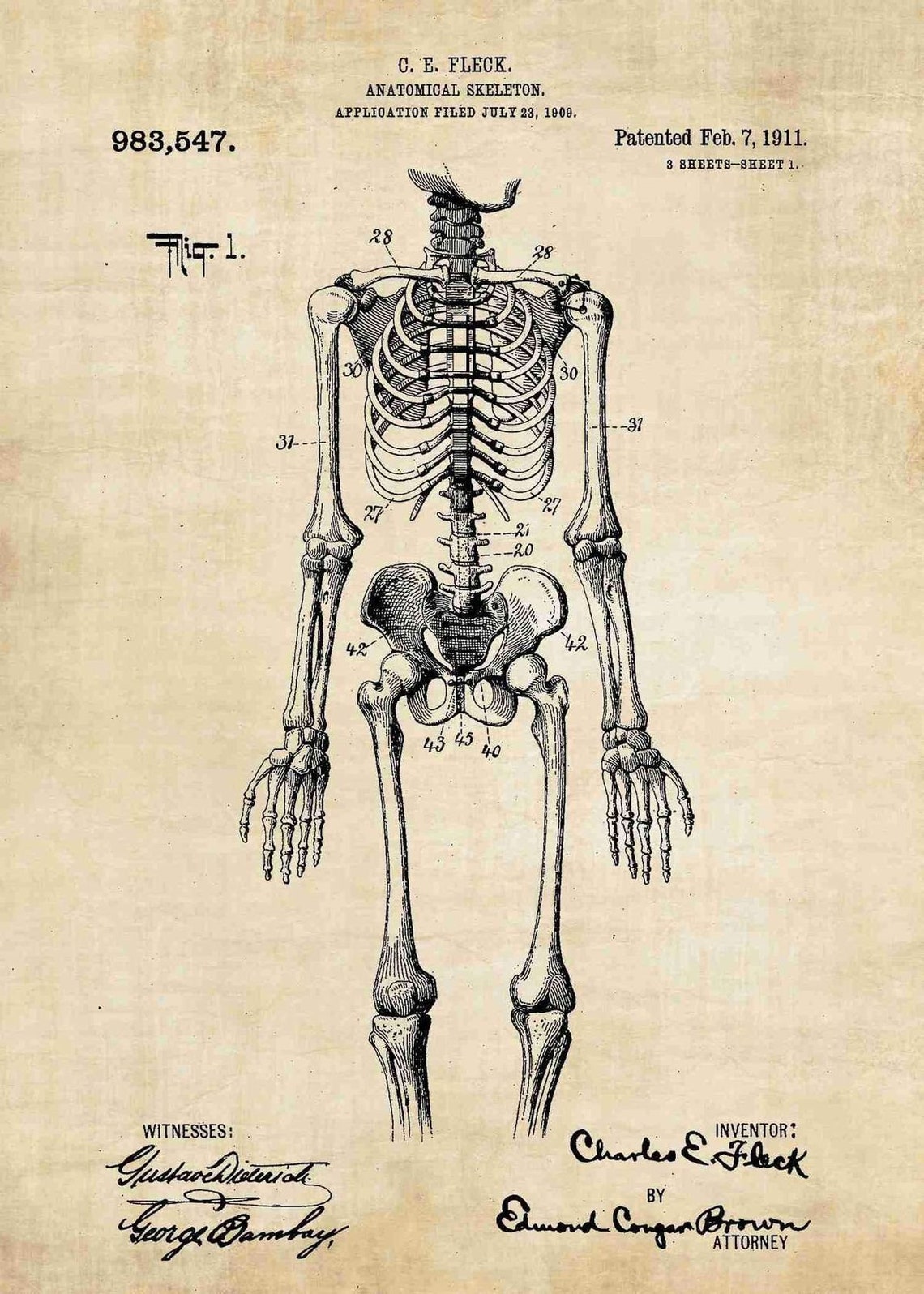 Skeleton Medical Journal Page Printable Graphic - Etsy