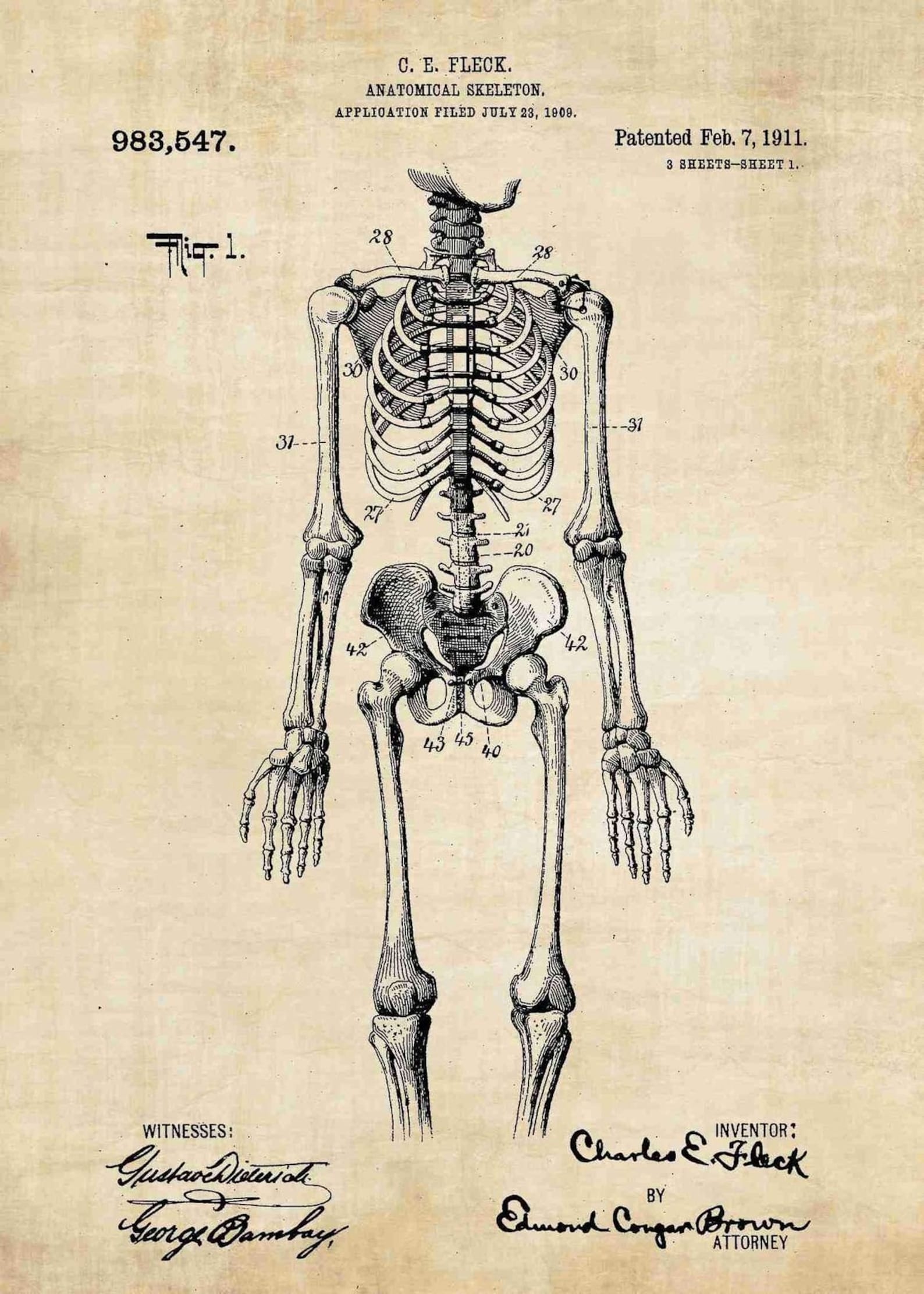 Skeleton Medical Journal Page Printable Graphic - Etsy