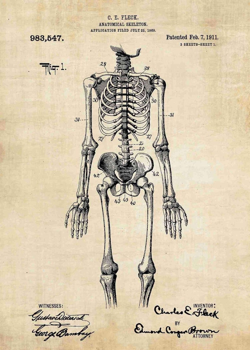 Skeleton Medical Journal Page Printable Graphic - Etsy