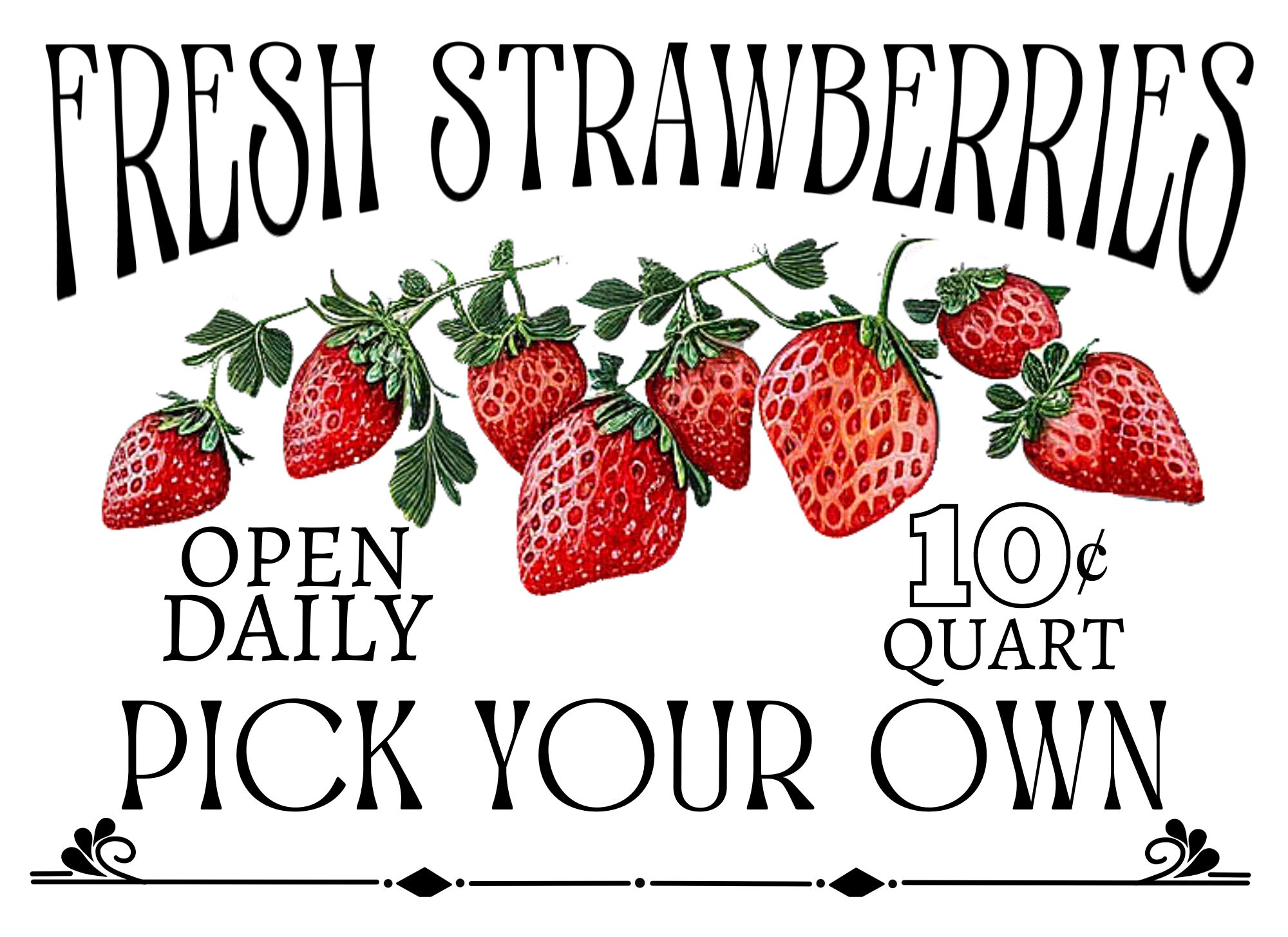 Strawberry Farm Sign Home Decor Image Printable Graphic - Etsy