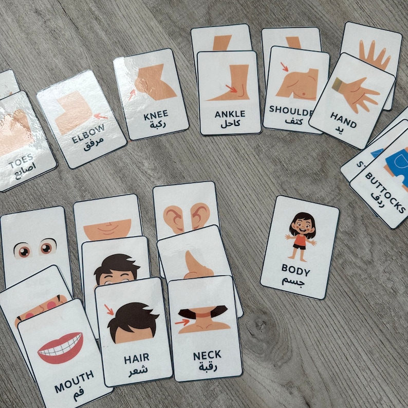 Body Parts in Arabic and English أعضاء الجسم - Etsy