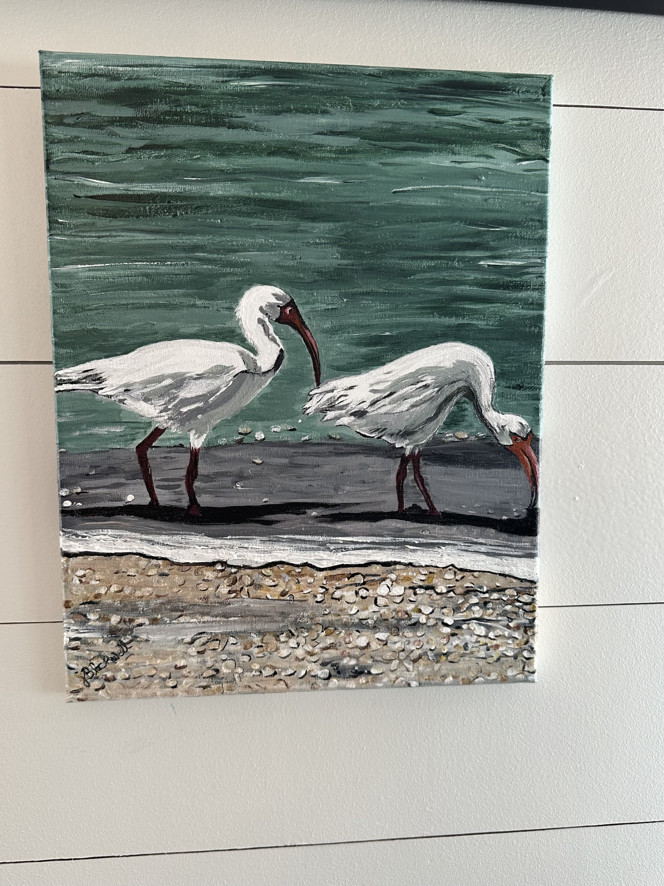 Birds of a Feather Original Art of North Captiva Island Ibises - Etsy