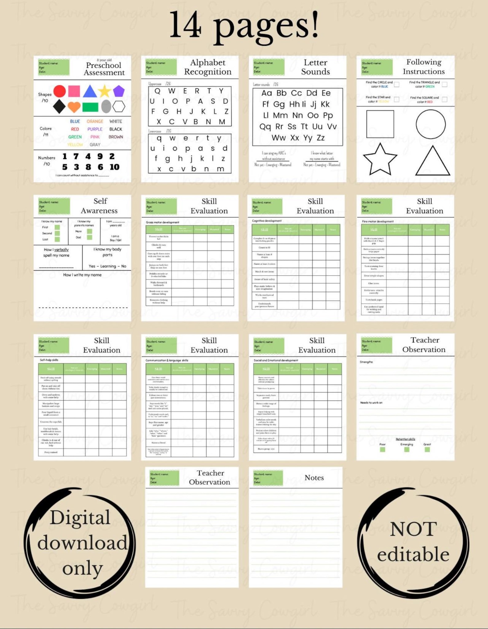 3 Year Old Assessment PDF Preschool Assessment Preschool Teacher ...