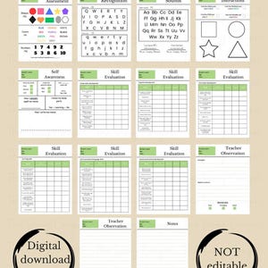 3 Year Old Assessment PDF Preschool Assessment Preschool Teacher ...