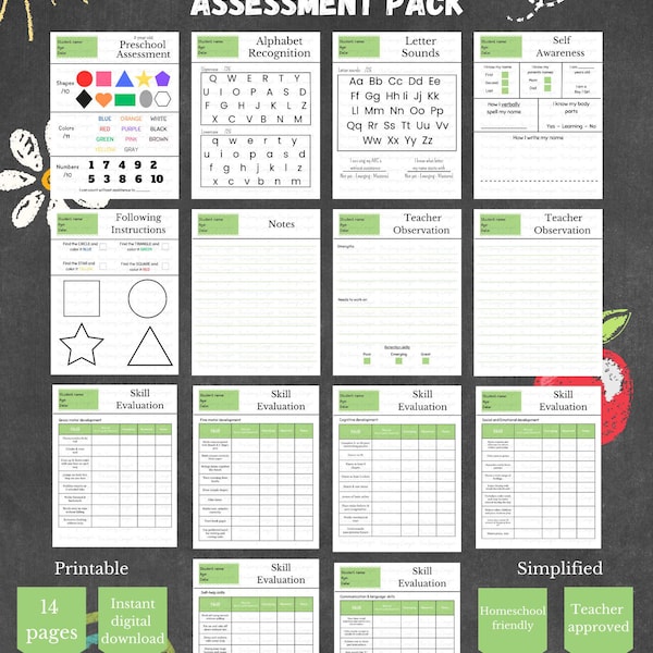 Preschool Assessment - Etsy