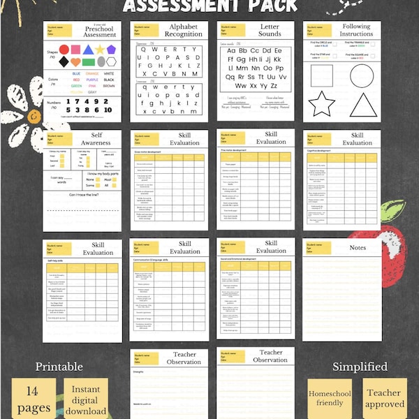 Preschool Assessment - Etsy