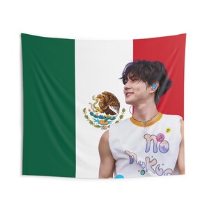 Enha Jungwon Dimple Mexican Flag, Enha Concert Banner, Enha Kpop Flag ...