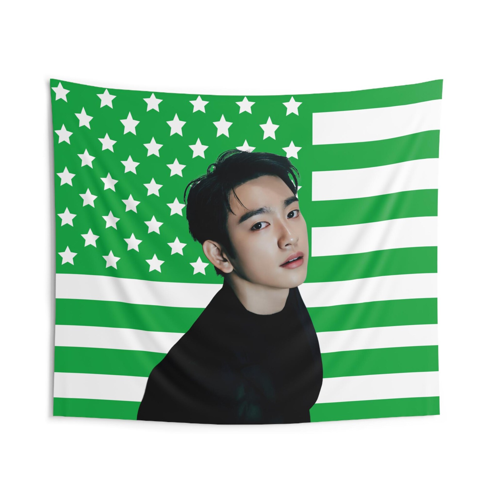 GOT7 Jinyoung Python Concept Photo Green American Flag, GOT7 Concert ...