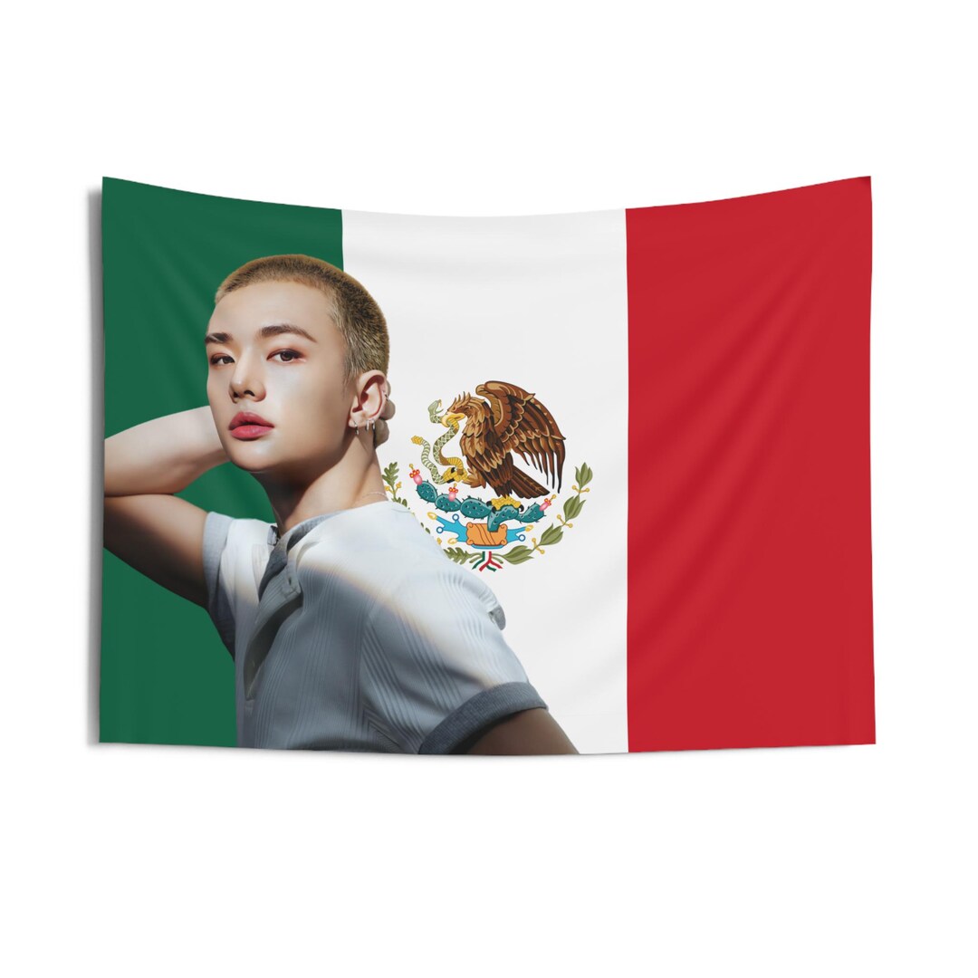 Hyunjin Buzzcut Visuals Mexican Flag, Stray Kids Concert Banner, SKZ ...