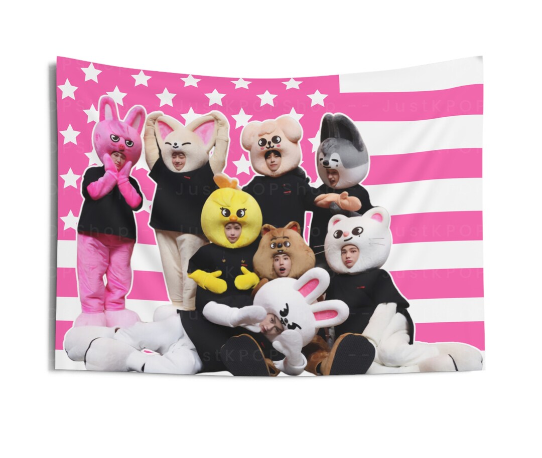 SKZ Members Skzoo Costume American Flag, Stray Kids Skzoo Pink American ...