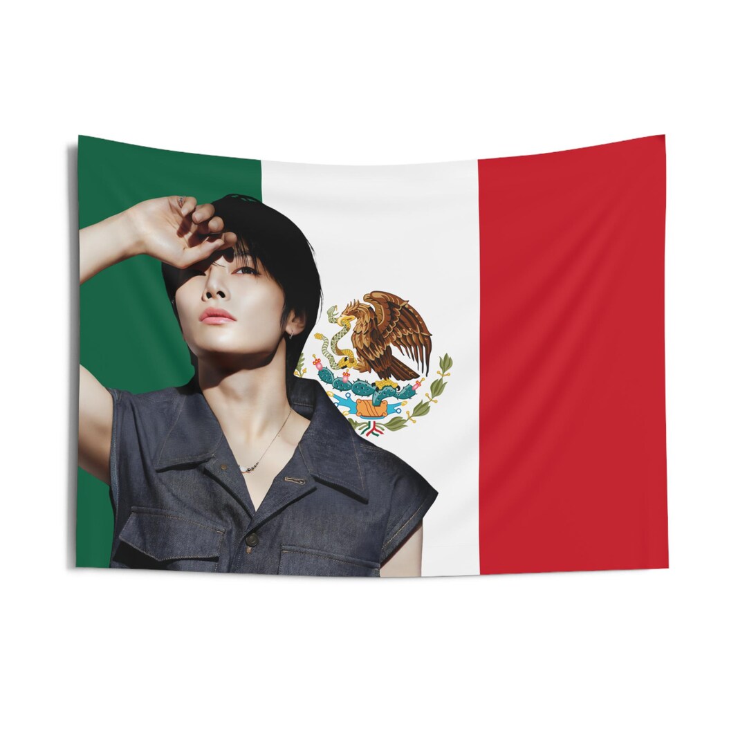 Skz I.N Visuals Mexican Flag, Stray Kids Concert Banner, SKZ Kpop ...