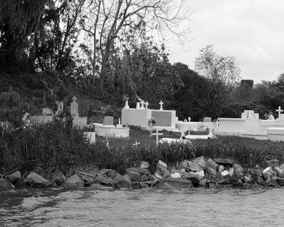 Bayou Swamp Cemetery - Etsy