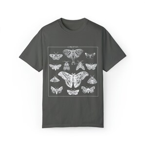Moth Comfort Colors Shirt Scientific Chart Moth Family - Etsy