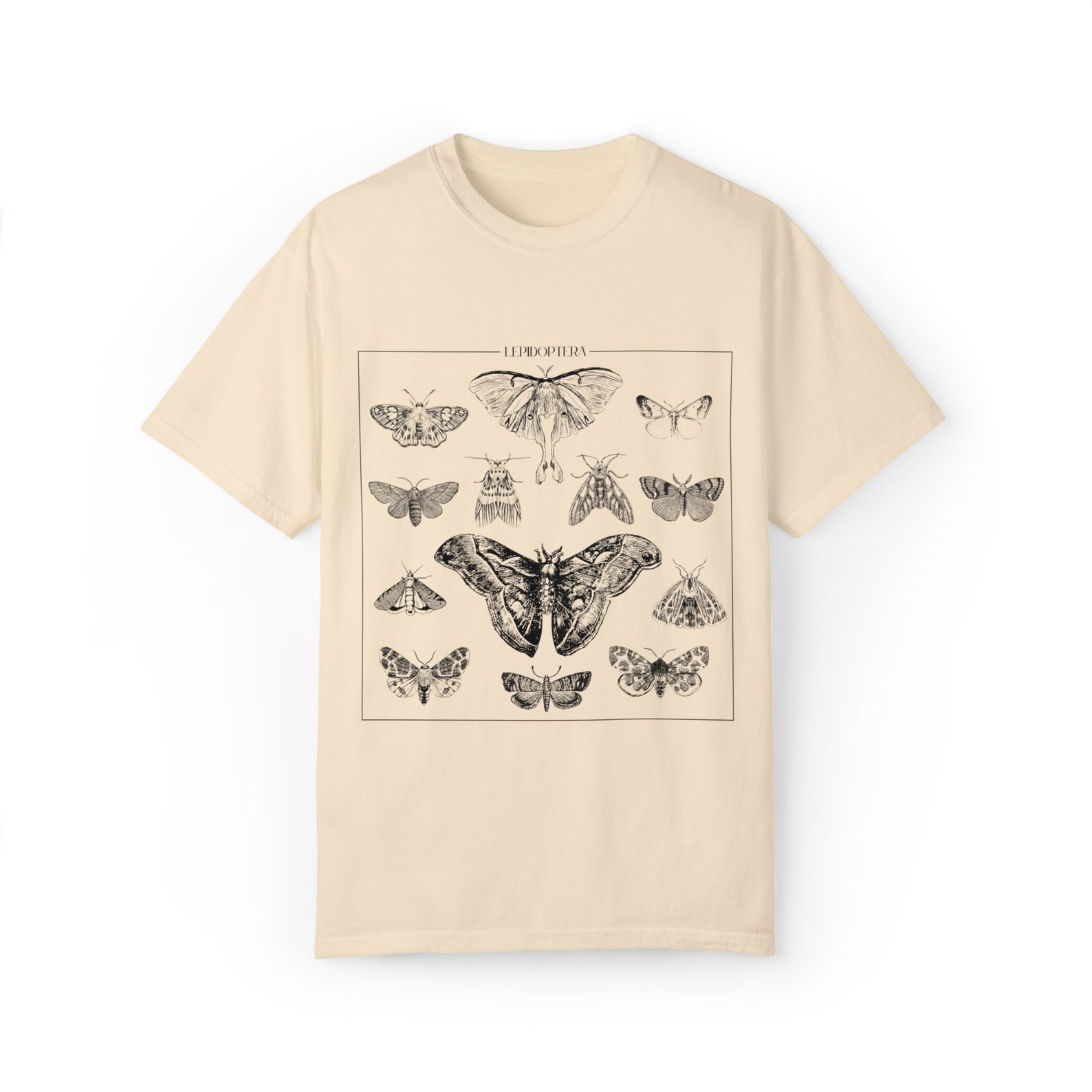 Moth Comfort Colors Shirt Scientific Chart Moth Family - Etsy