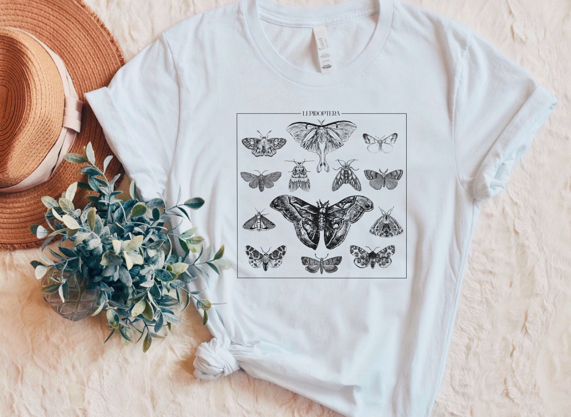 Moth Shirt, Scientific Chart, Moth Family Shirt, Lepidoptera ...