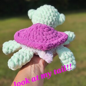 No Sew Crochet Pattern Sea Turtle Heart Shaped Shell - Etsy