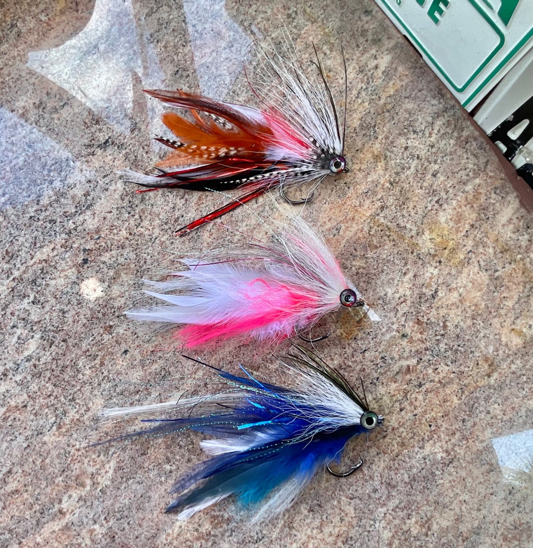 Large Spotted Ray,pink Snow Cone, and Blue Tuna Snook Saltwater Fly - Etsy