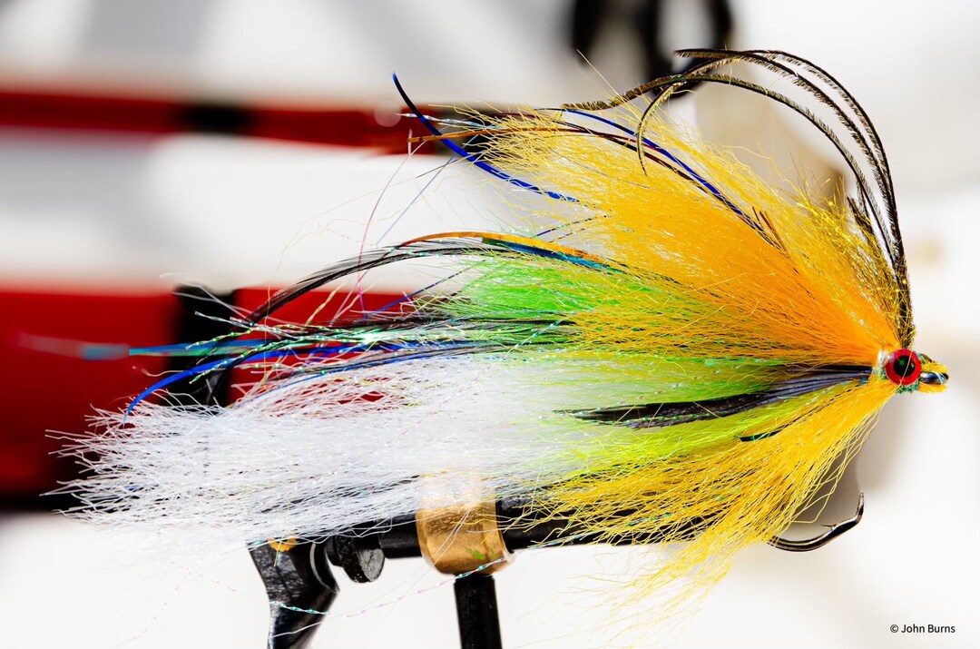 Snook Slider Fly Saltwater Fly - Etsy
