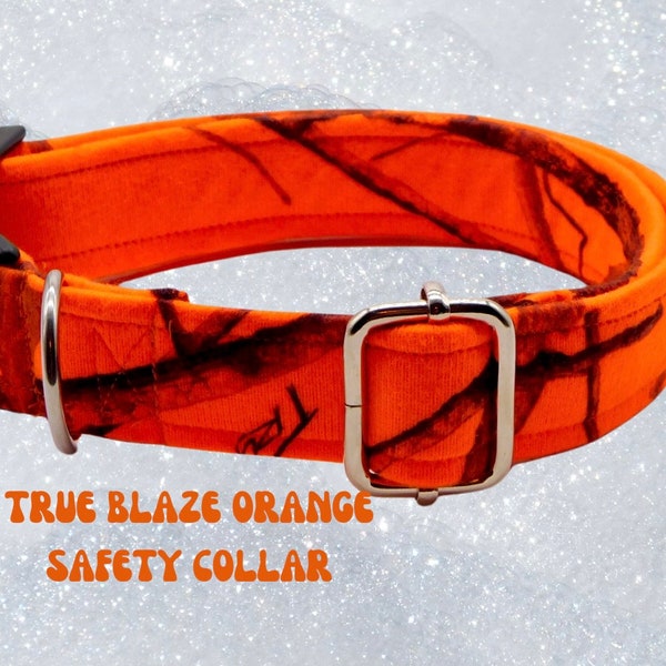 Hunting Dog Collars - Etsy