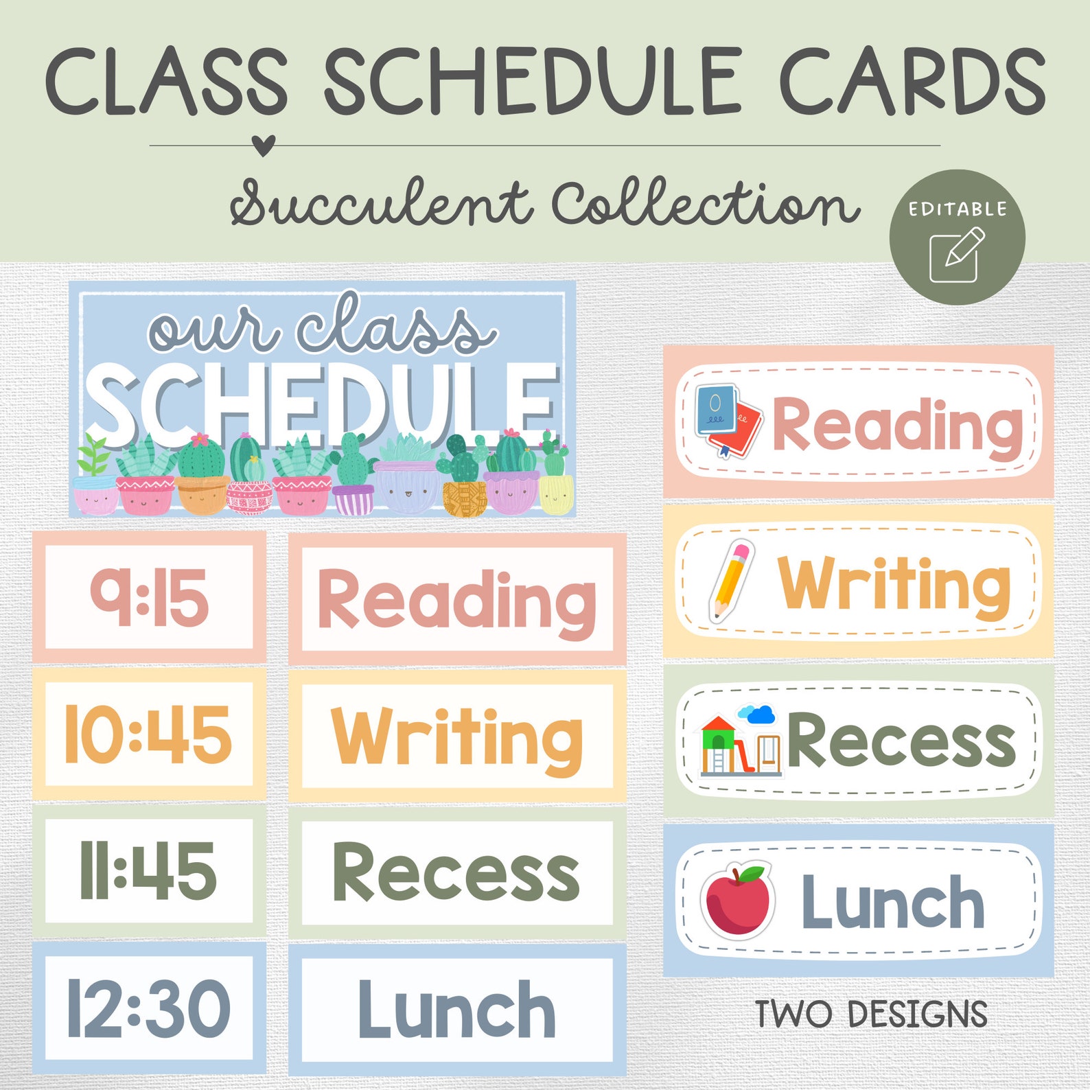 Classroom Schedule Cards, Schedule Display, Editable, Succulent - Etsy