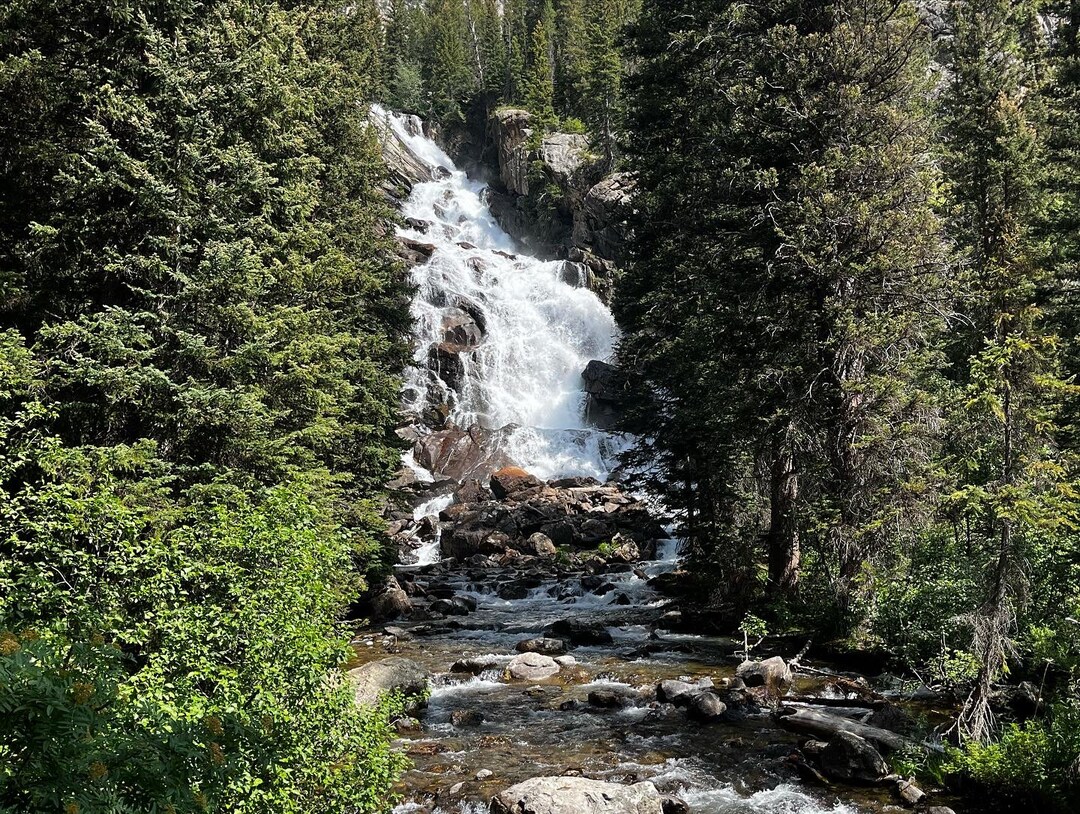 Evergreen Waterfall - Etsy