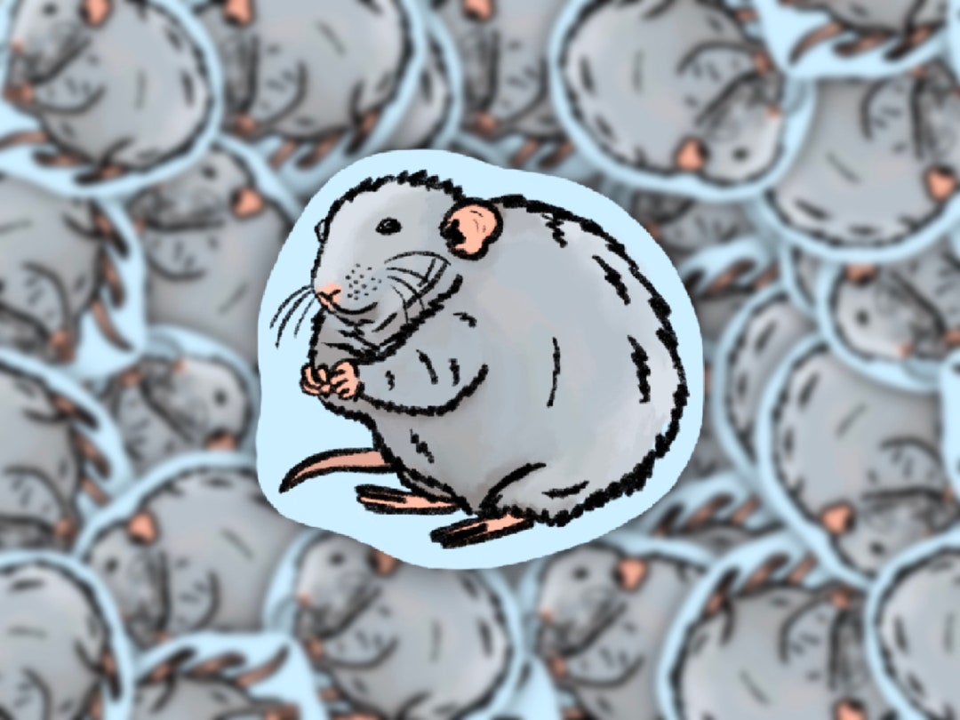 Fluffy Rat Sticker | Cute Animal Sticker - Etsy