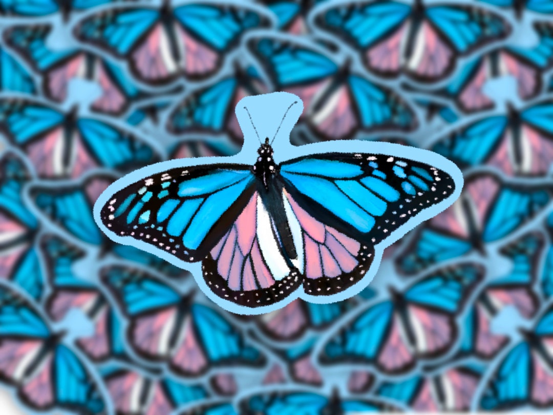 Trans Butterfly Sticker Transgender Pride LGBTQ Sticker - Etsy