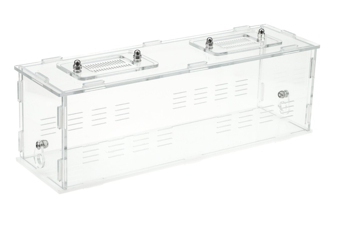 Acrylic Arena S3 for Ants - Etsy