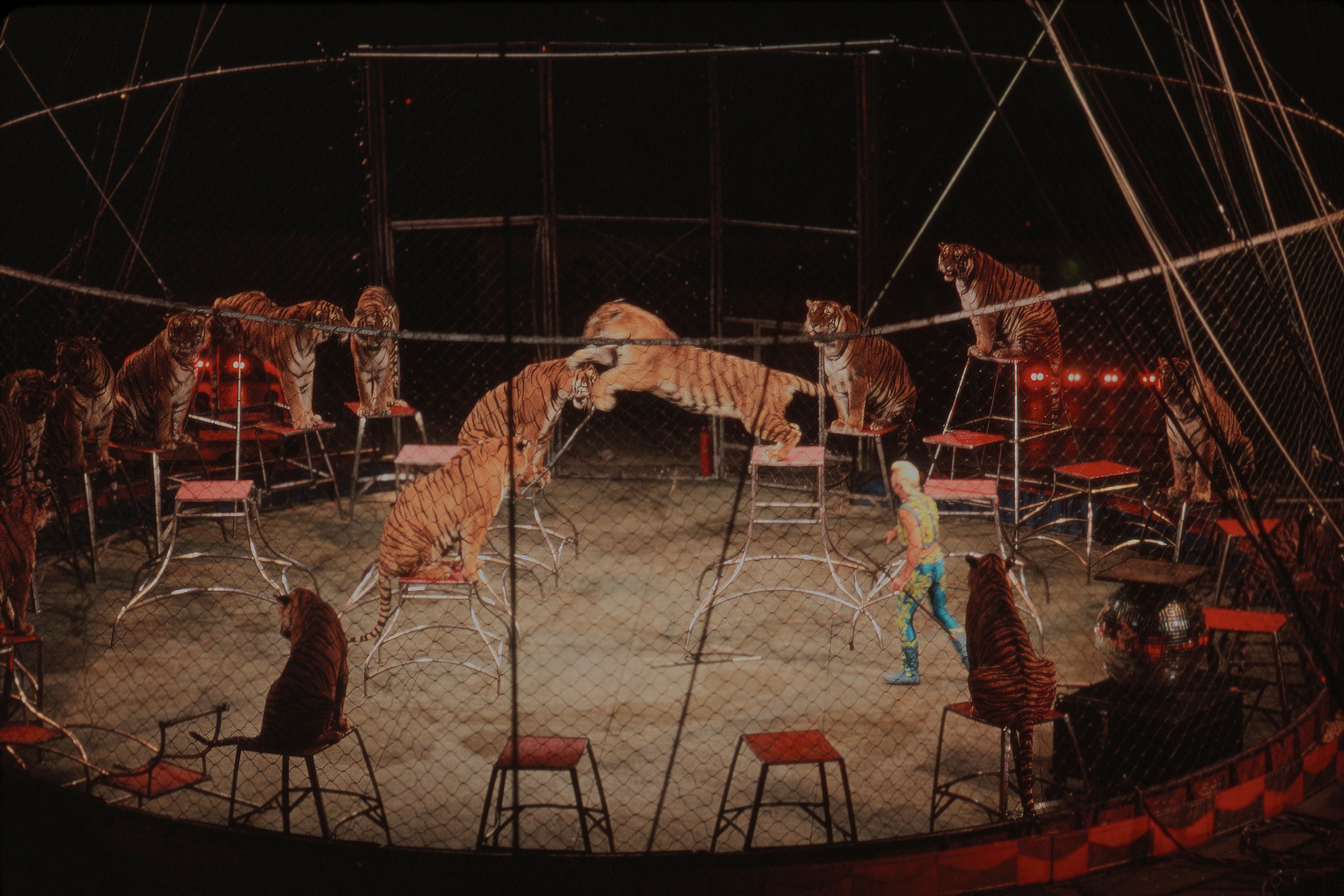 Ringling Bros. and Barnum & Circus Tiger Show Mid 1980's - Etsy