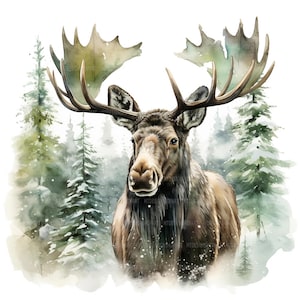 20 Moose in Winter Clipart, Moose Clipart, Printable Watercolor Clipart ...