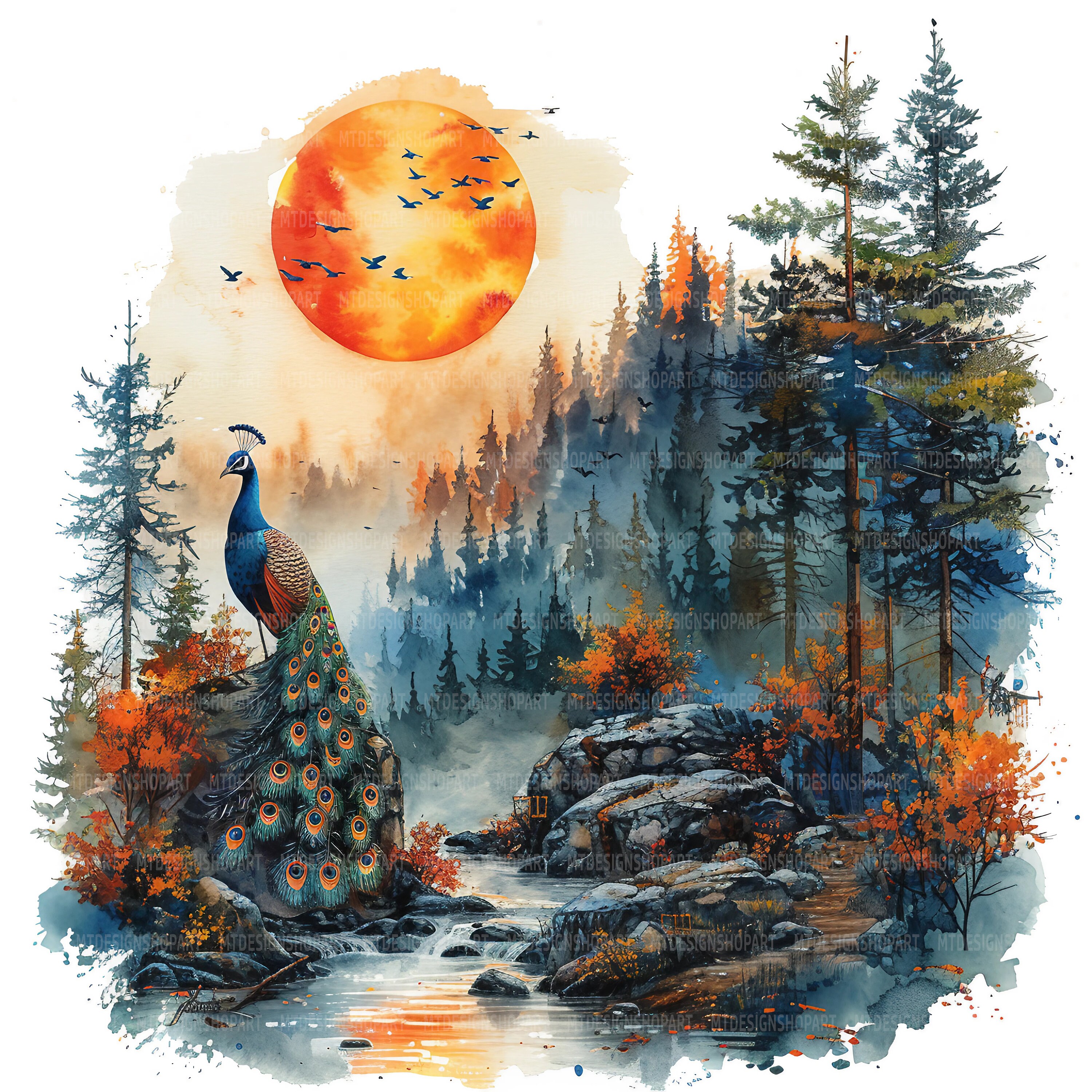 10 Peacock Clipart, Peacock Landscape Images, Printable Watercolor ...