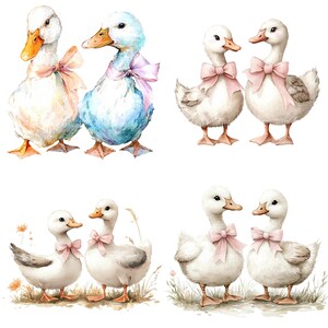 21 Cute Duck Clipart, Duck With Pink Bow, Peacock Landscape, Printable ...