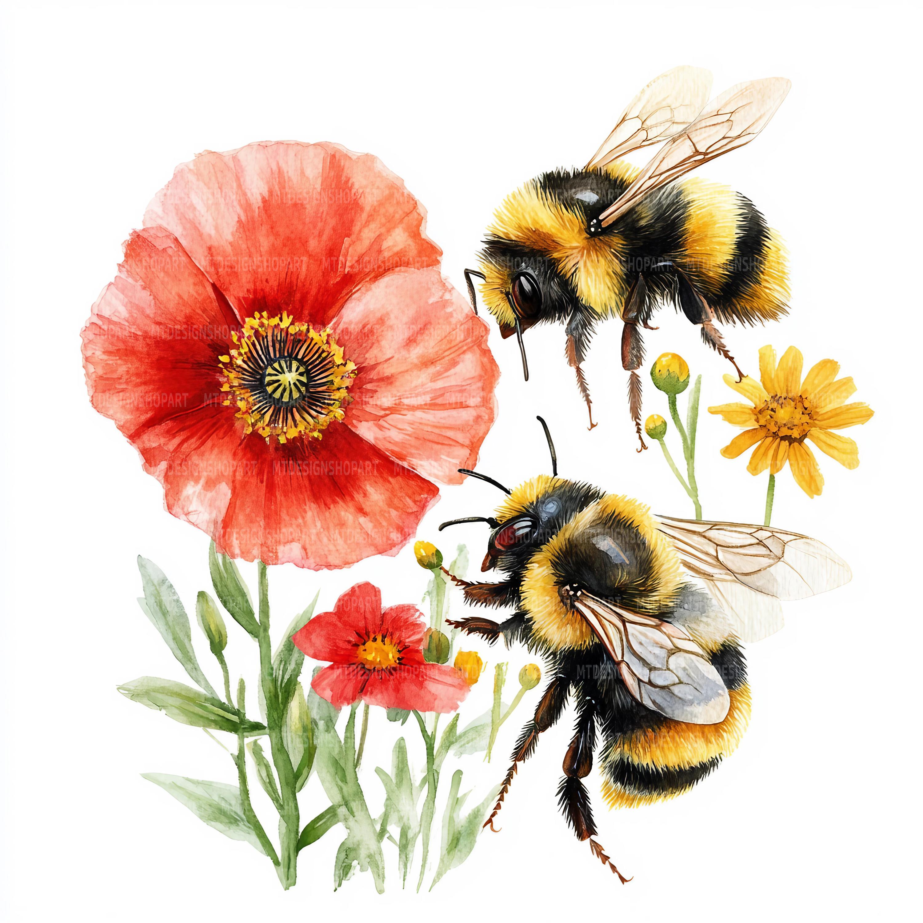 Watercolor Bees and Flowers Clipart: Floral Art, Paper Crafts (digital ...