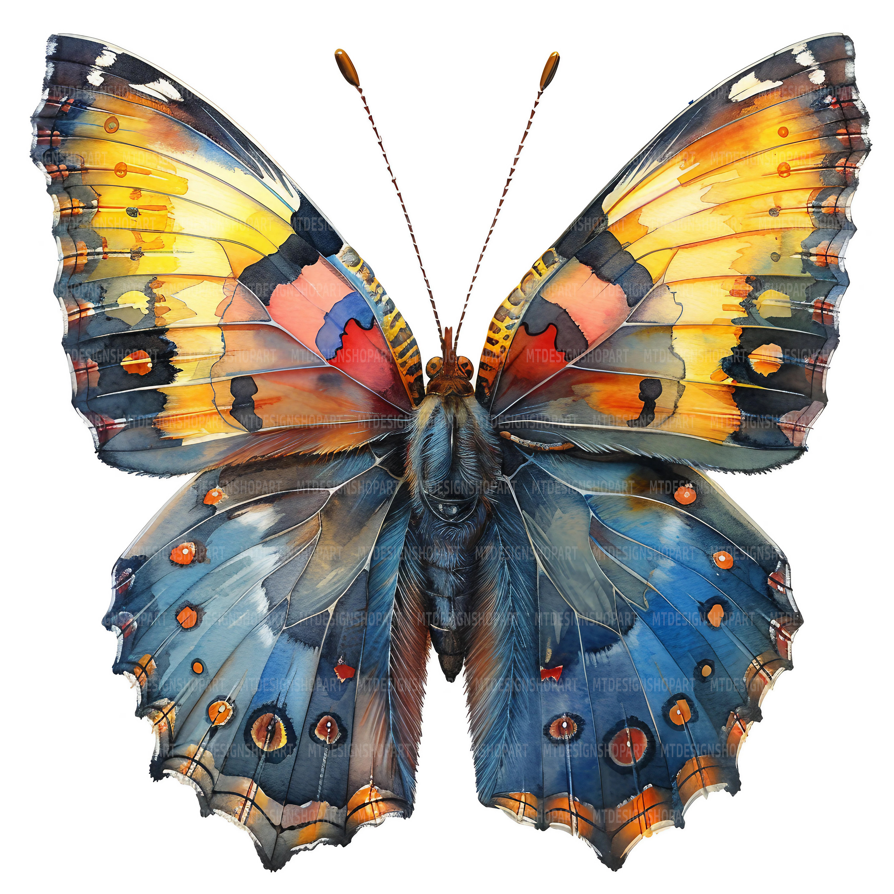 18 Realistic Butterfly Clipart, Butterflies Clipart, Printable ...