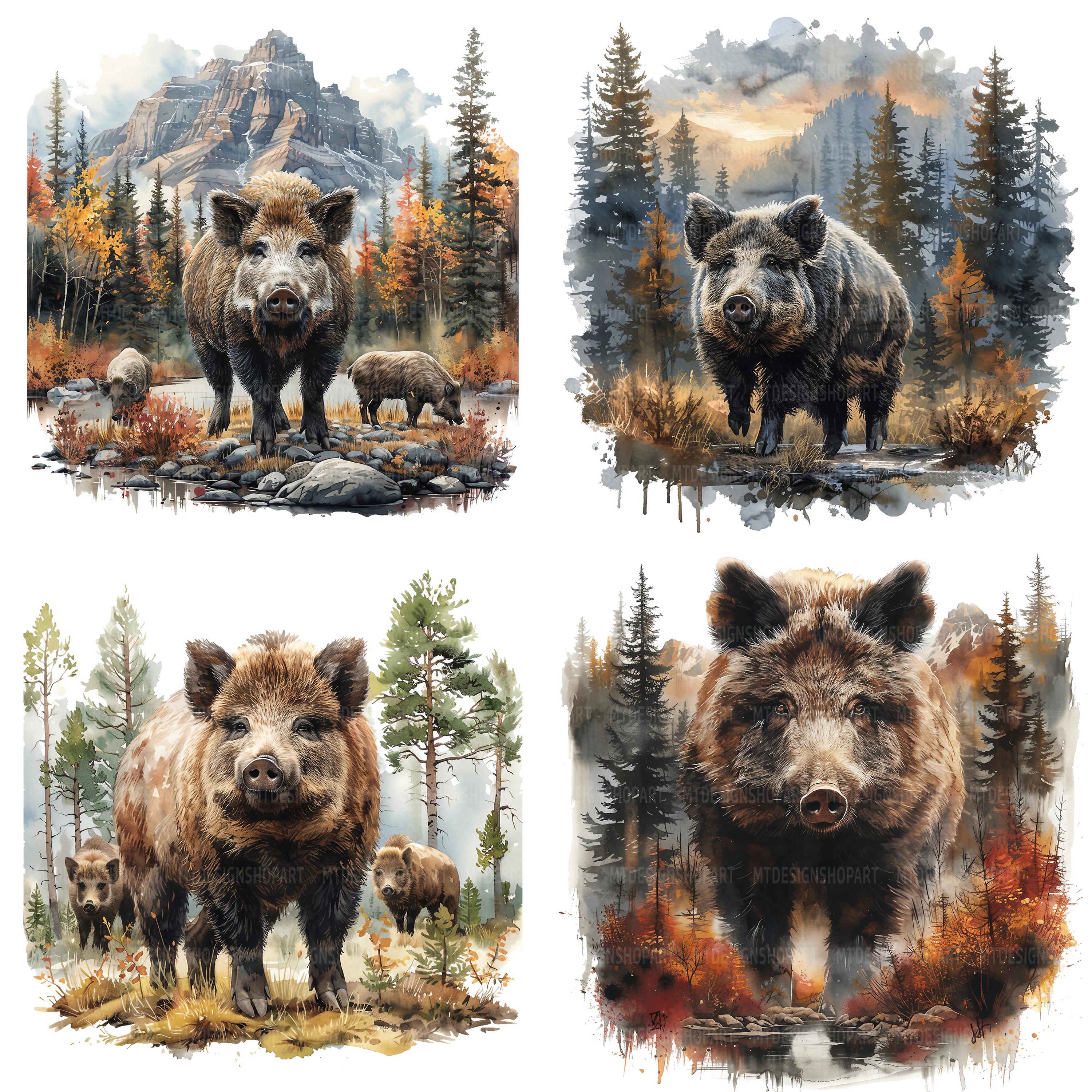 16 Wild Boar in Forest Clipart, Wild Boar Clipart, Printable Watercolor ...
