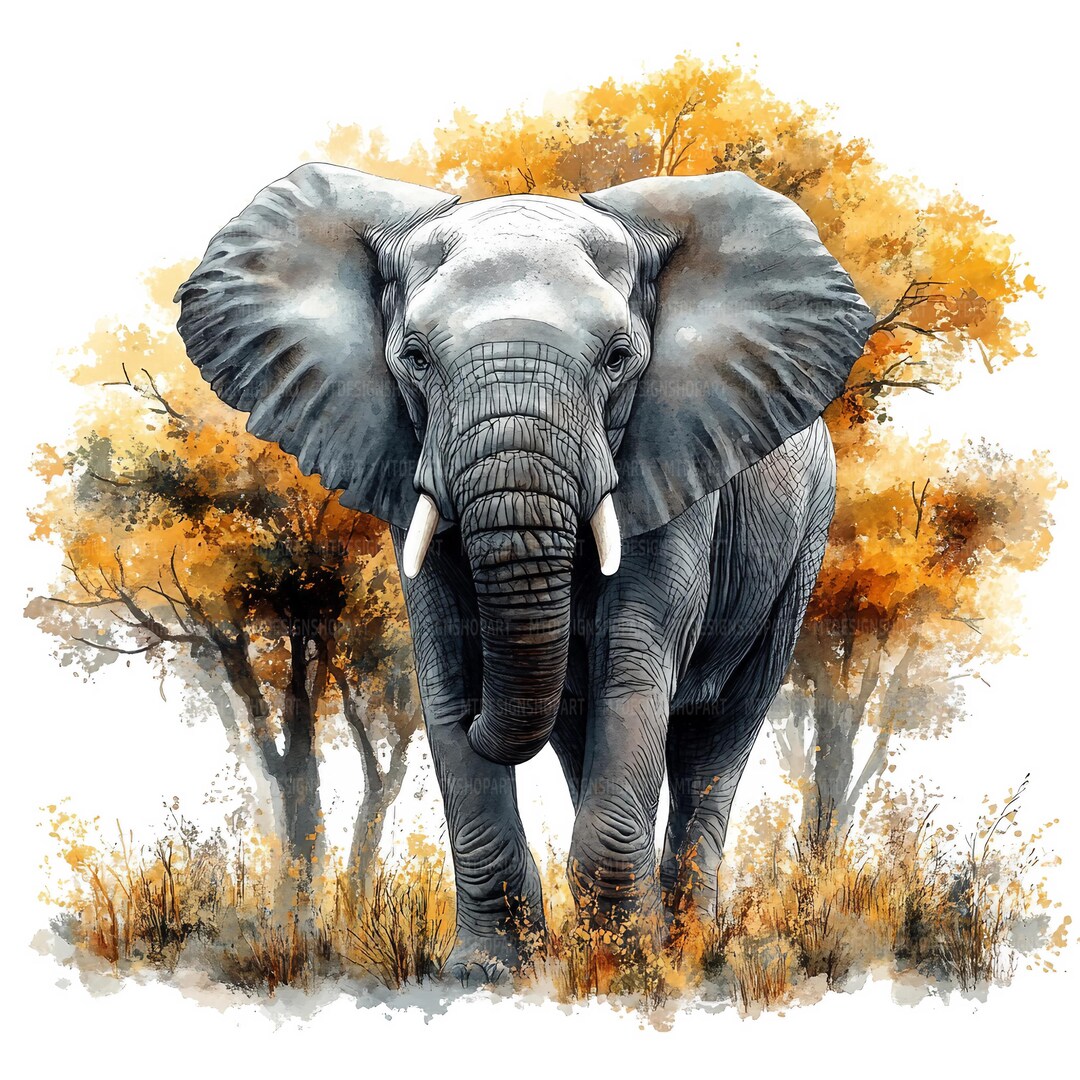 16 Elephant Clipart, Watercolor Elephant Art, Printable Watercolor ...