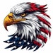 13 American Bald Eagle, USA Flag, United States, Patriotic Eagle, Paper ...