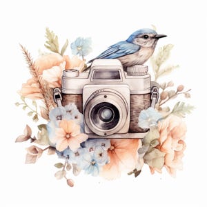 16 Vintage Floral Camera Clipart, Camera Art, Printable Watercolor ...